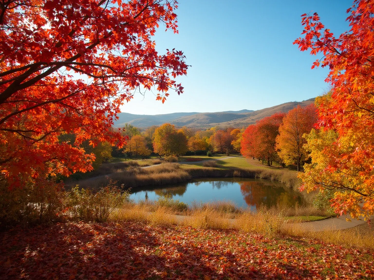 Mastering Fall Colors Art: An In-Depth Tutorial for Artists