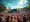 Discover Buzzard Fest 2024: Everything You Need to Know