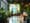 10 Sustainable Practices in Hotel Management for Success