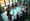 8 Essential EUDR Software Solutions for Compliance Success