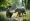 Understanding the Art and Ecology Dialogue: Importance and Origins