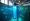 Affordable Water Filtration for Aquaculture: Compare Top Technologies