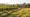 10 Best Wineries with Regenerative Farming Practices You’ll Love