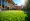 Discover the Best High-Density Artificial Turf for Harsh Climates