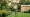 Compare the Best Eco-Friendly Lawn Care Products for Homeowners